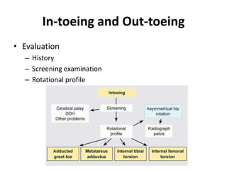 13-pediatric common lower limb disorders (1).ppt | Free Download