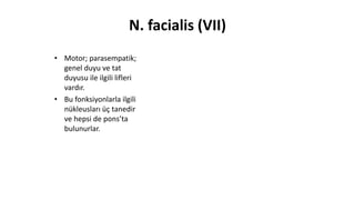 Anatomi Özet Ders Sunumu Periferik Sinir Sistemi.pdf