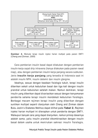 13-petunjuk-praktis-terapi-insulin-pada-pasien-diabetes-melitus.pdf