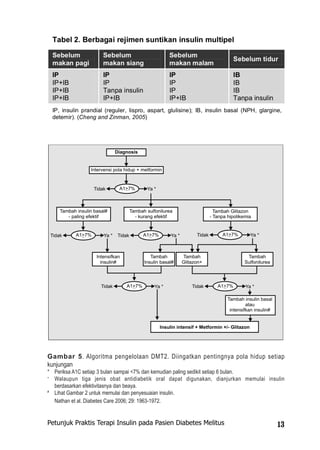 13-petunjuk-praktis-terapi-insulin-pada-pasien-diabetes-melitus.pdf