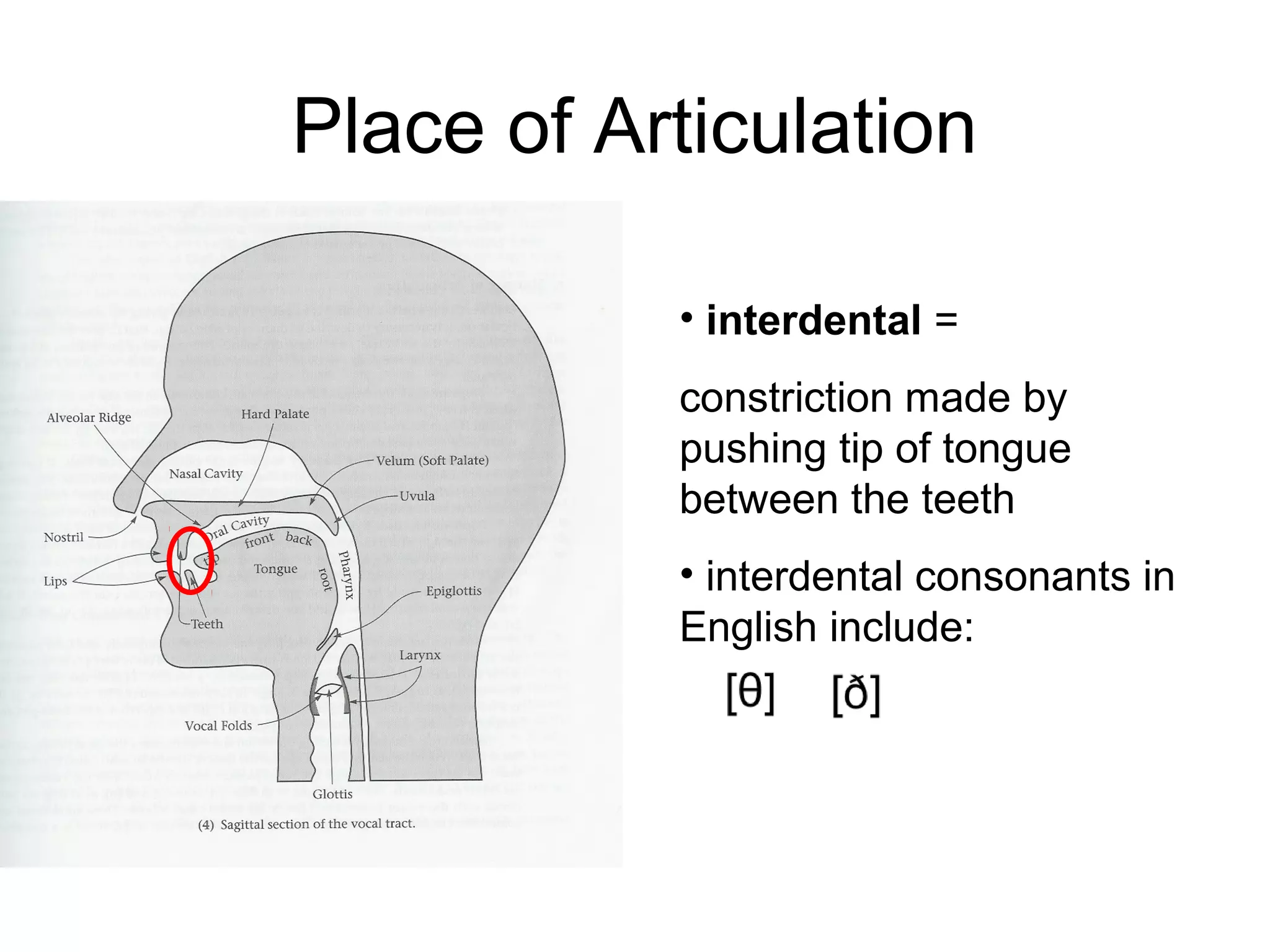 13 phonetics iii | PPT