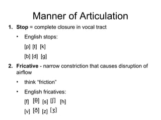 13 phonetics iii | PPT