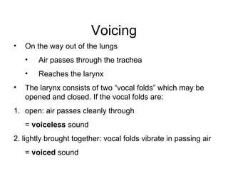 13 phonetics iii | PPT