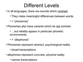 Phonology | PPT