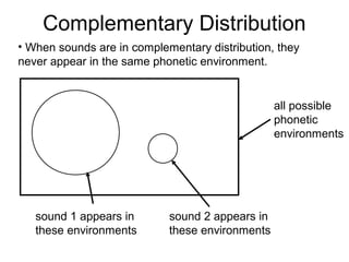 Phonology | PPT