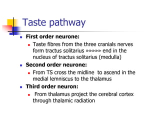 13- Physiology of Taste and Smell (5).ppt