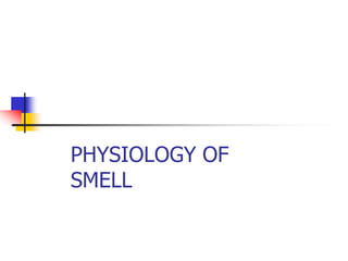 13- Physiology of Taste and Smell (5).ppt