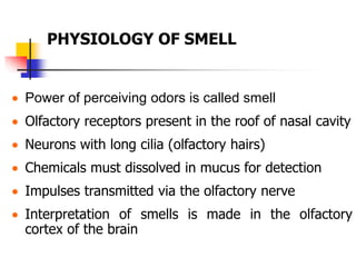 13- Physiology of Taste and Smell (5).ppt