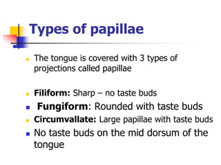 13- Physiology of Taste and Smell (5).ppt