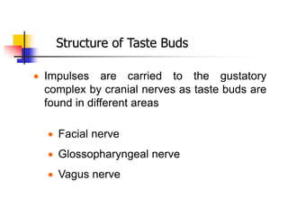 13- Physiology of Taste and Smell (5).ppt