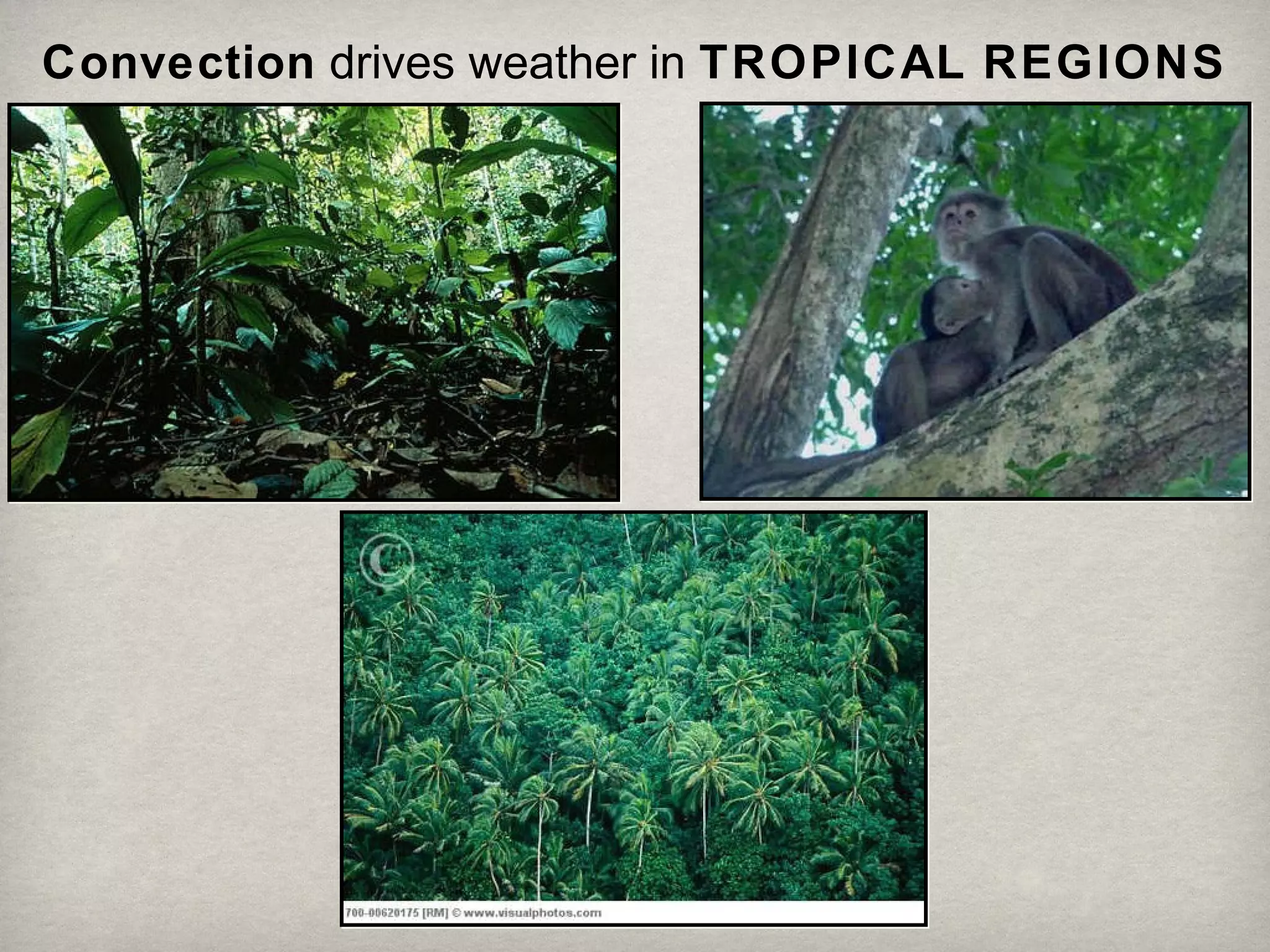 #13 Precipitation & Weather Patterns | PPT | Weather | Science