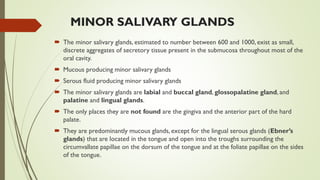 Salivary Glands and its Types and details structures of Salivary Glands ...