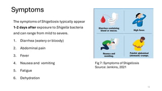 Shigellosis: Causes, Symptoms, Diagnosis, and Treatment | PDF