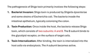 Shigellosis: Causes, Symptoms, Diagnosis, and Treatment | PDF
