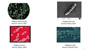 Shigellosis: Causes, Symptoms, Diagnosis, and Treatment | PDF