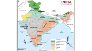 13-Soil Maps.pptx thugs of Hindustan hindu | PPTX