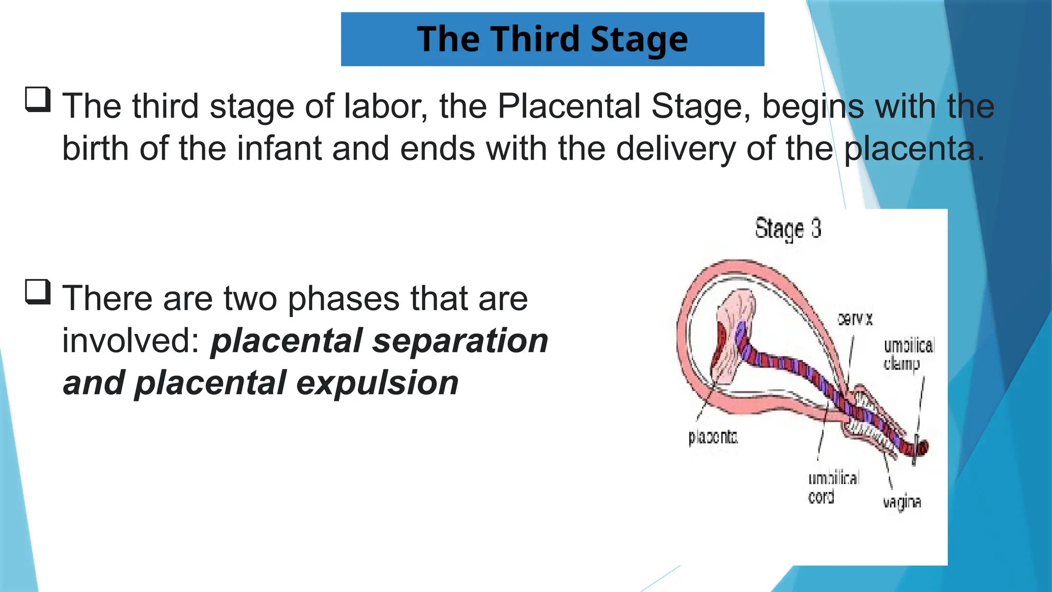 13-STAGES-OF-LABOR.pptx Maternal Child.. | PPTX