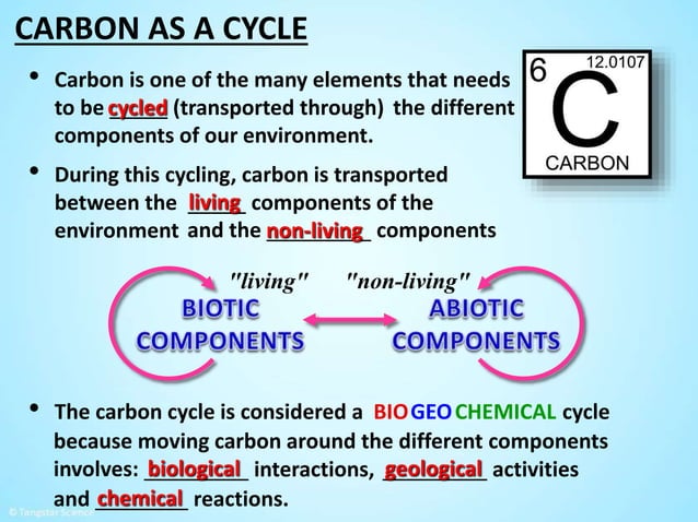 The Carbon Cycle by Tangstar Science | PPT