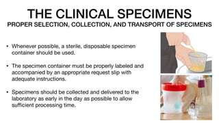 13 - The Diagnosis of Infectious Diseases.pdf