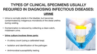 13 - The Diagnosis of Infectious Diseases.pdf
