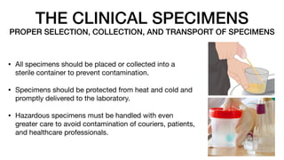 13 - The Diagnosis of Infectious Diseases.pdf