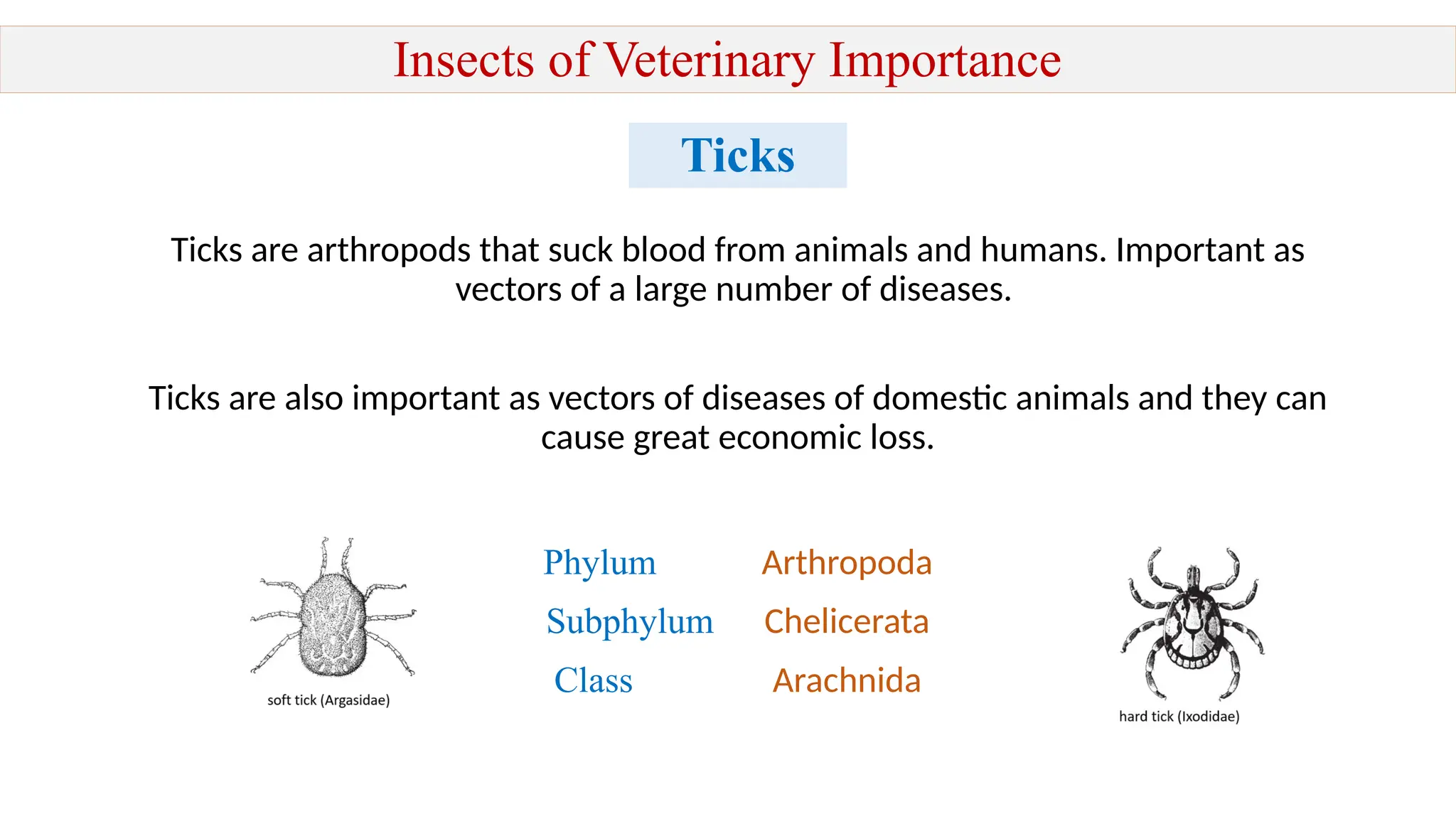 Ticks (Life cycle, Diseases and their control).pptx