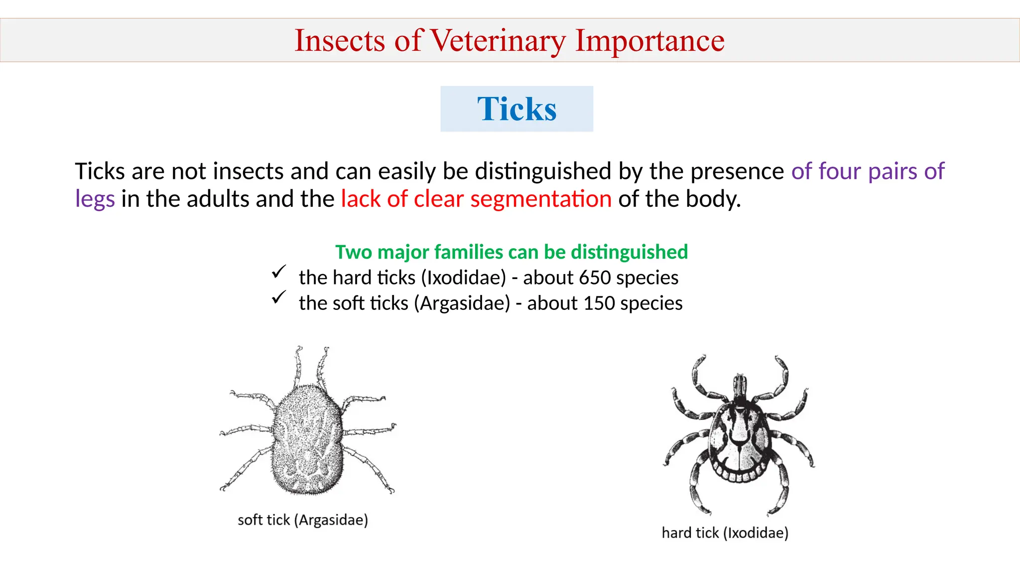 Ticks (Life cycle, Diseases and their control).pptx