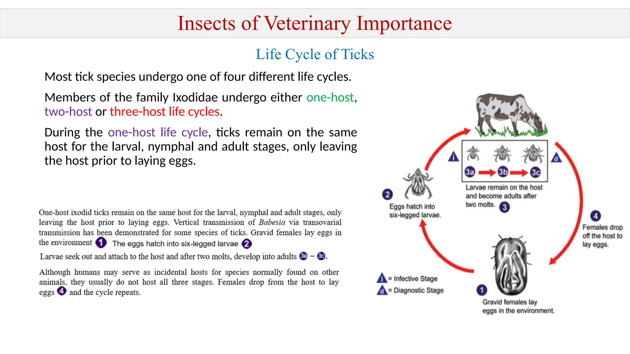 Ticks (Life cycle, Diseases and their control).pptx
