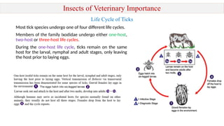 Ticks (Life cycle, Diseases and their control).pptx