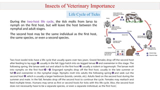 Ticks (Life cycle, Diseases and their control).pptx