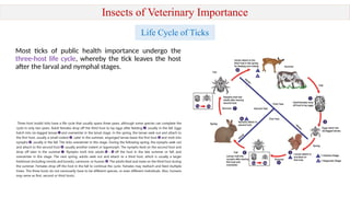 Ticks (Life cycle, Diseases and their control).pptx