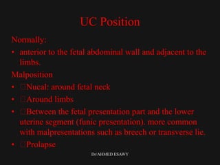 13-umblical cord imaging Dr Ahmed Esawy | PDF