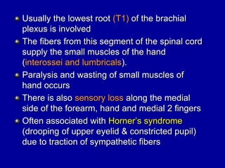 13 - Upper limb nerve injuries.ppt
