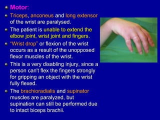 13 - Upper limb nerve injuries.ppt