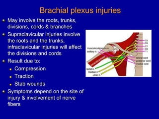 13 - Upper limb nerve injuries.ppt