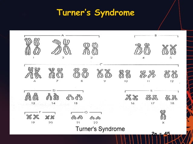 Mutation PPT Grade 10 Third quarter topic | PPT