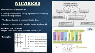 13001620124_AashishAgarwal_Data representation.text and numbers.pdf ...