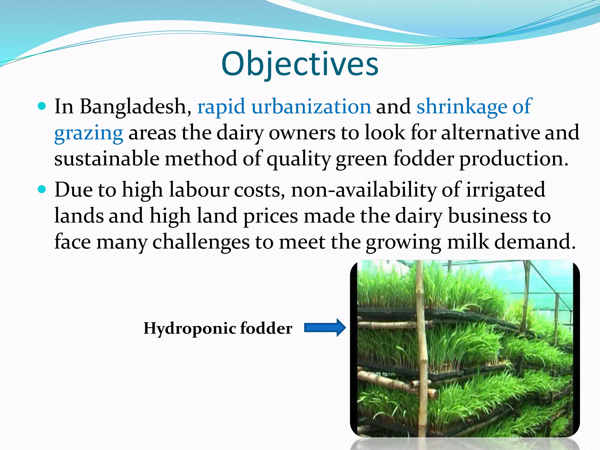 Prospect of hydroponic fodder in Bangladesh | PPT