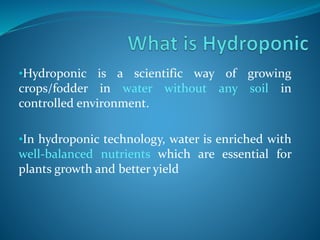 Prospect of hydroponic fodder in Bangladesh | PPT
