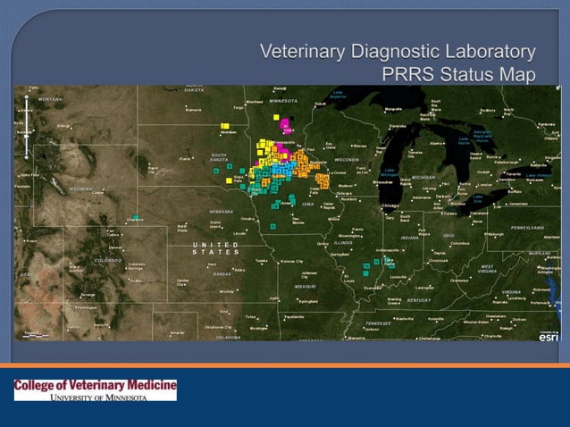 Dr. Kurt Rossow - Disease Mapping for PRRS | PPT