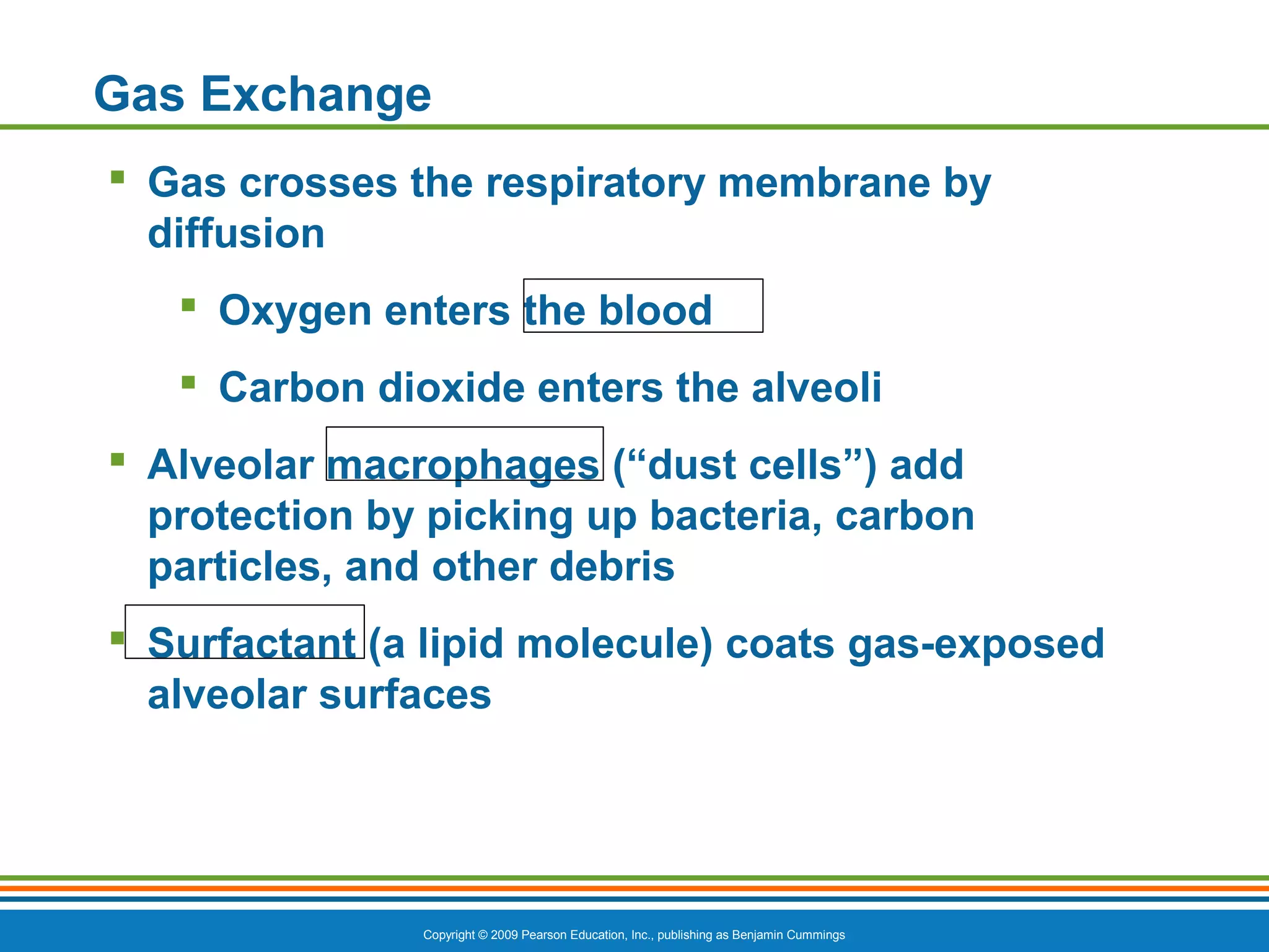 Respiratory ppt # 1- Diab | PPT