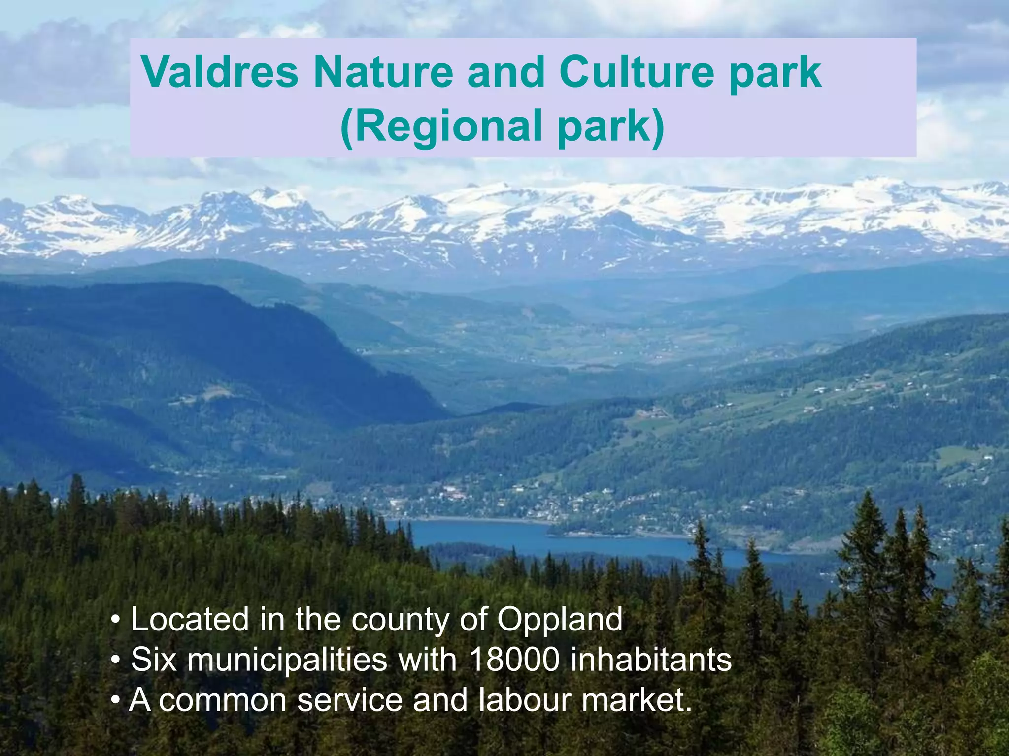 1302 24 Valdres Natur & Culture park regional park project | PDF