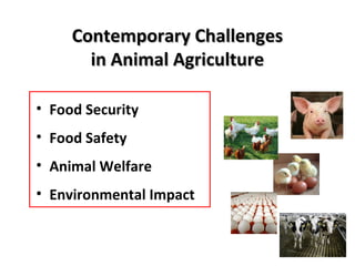 Dr. Marcos Rostagno - Food Safety Analysis | PPT