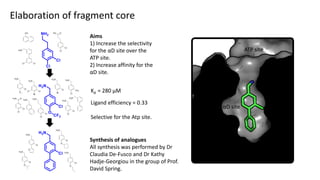 Specific inhibition of CK2α from an anchor outside the active site | PPTX