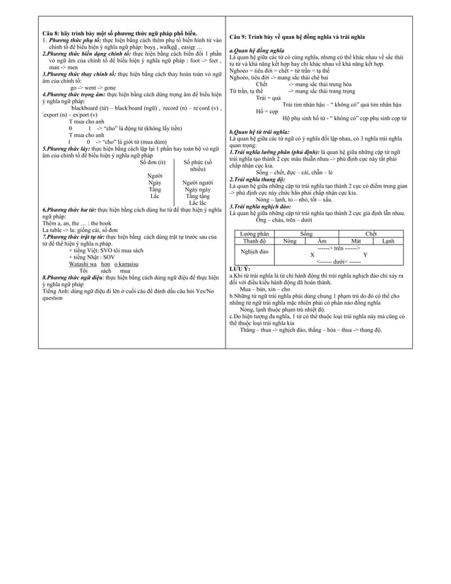 dan luan_ngon_ngu | DOCX