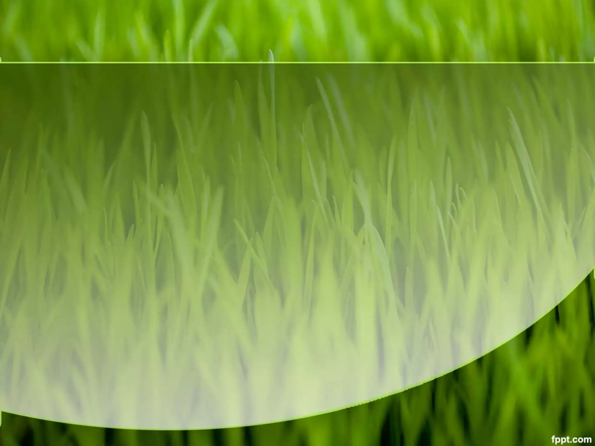 Green Grass ppt template | PPTX