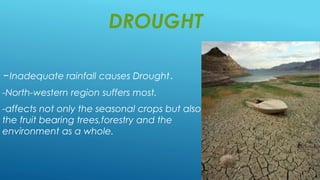 Disasters in Bangladesh.ppt