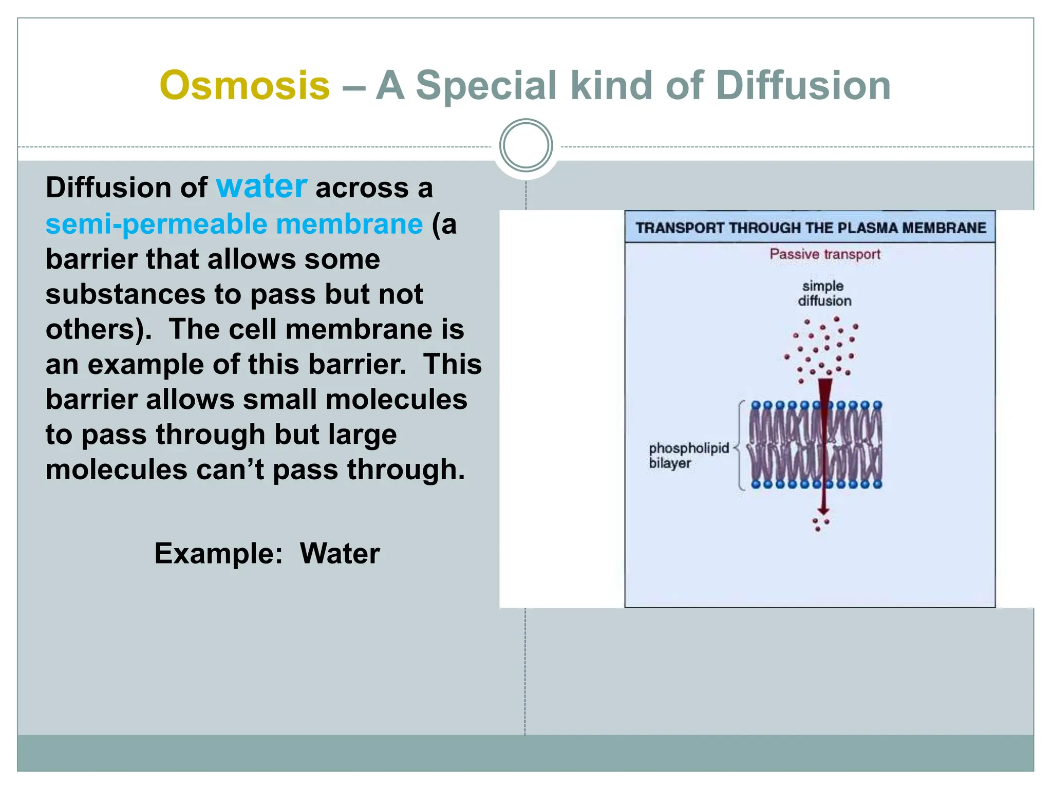 Differentiate between Osmosis and diffusion.ppt
