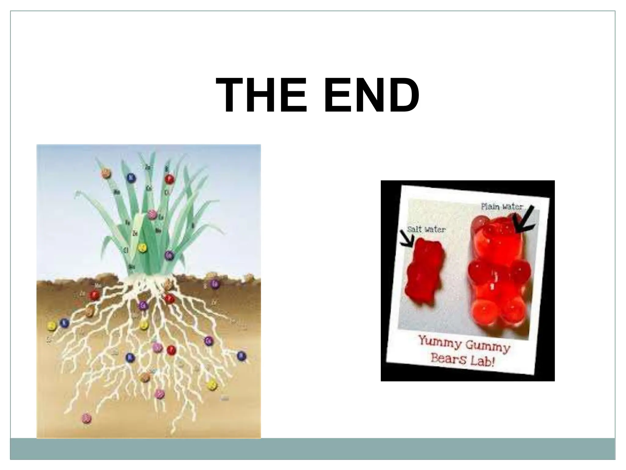 Differentiate between Osmosis and diffusion.ppt Differentiate between Osmosis and diffusion.ppt