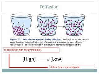Differentiate between Osmosis and diffusion.ppt